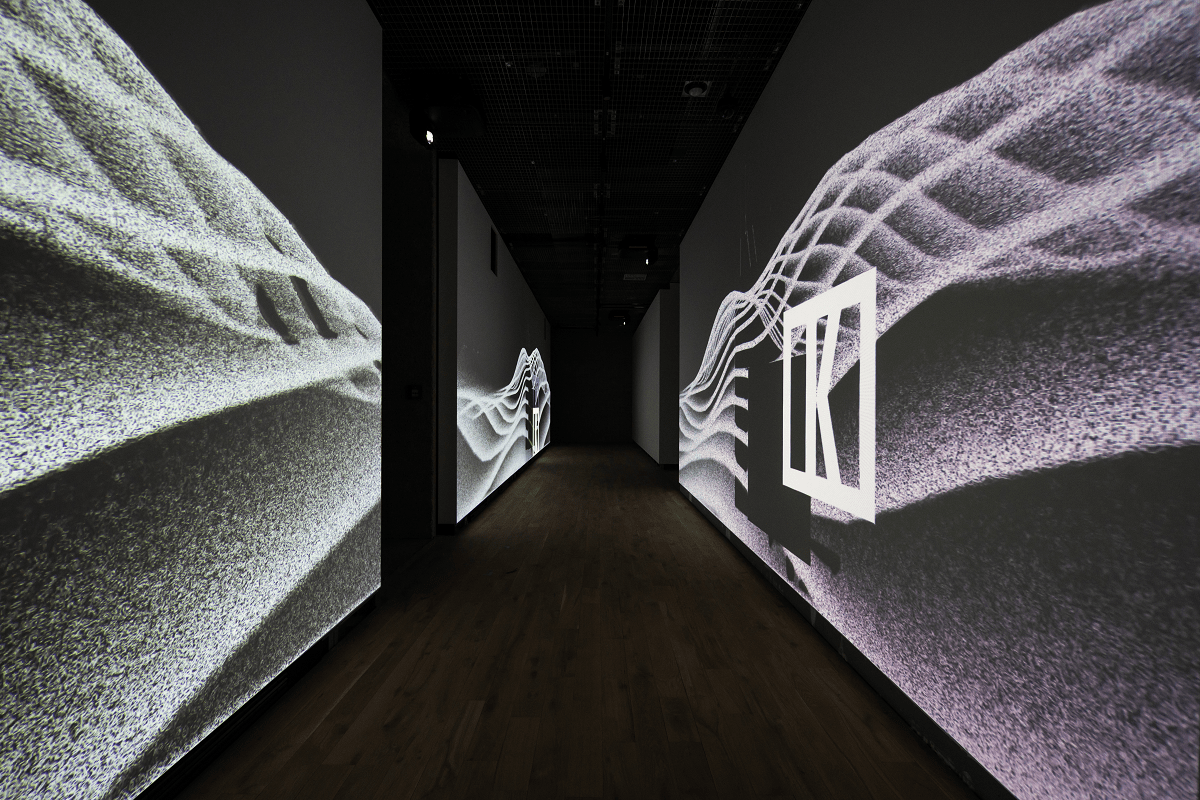 INVISIBLE FORCES: Curator-led tour of the exhibition