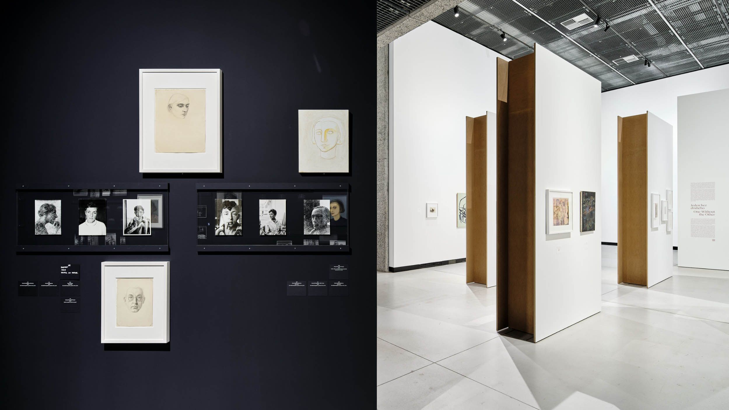 PAW: Guided Tour of Anna-Eva Bergman & Hans Hartung: And We'll Never Be Par