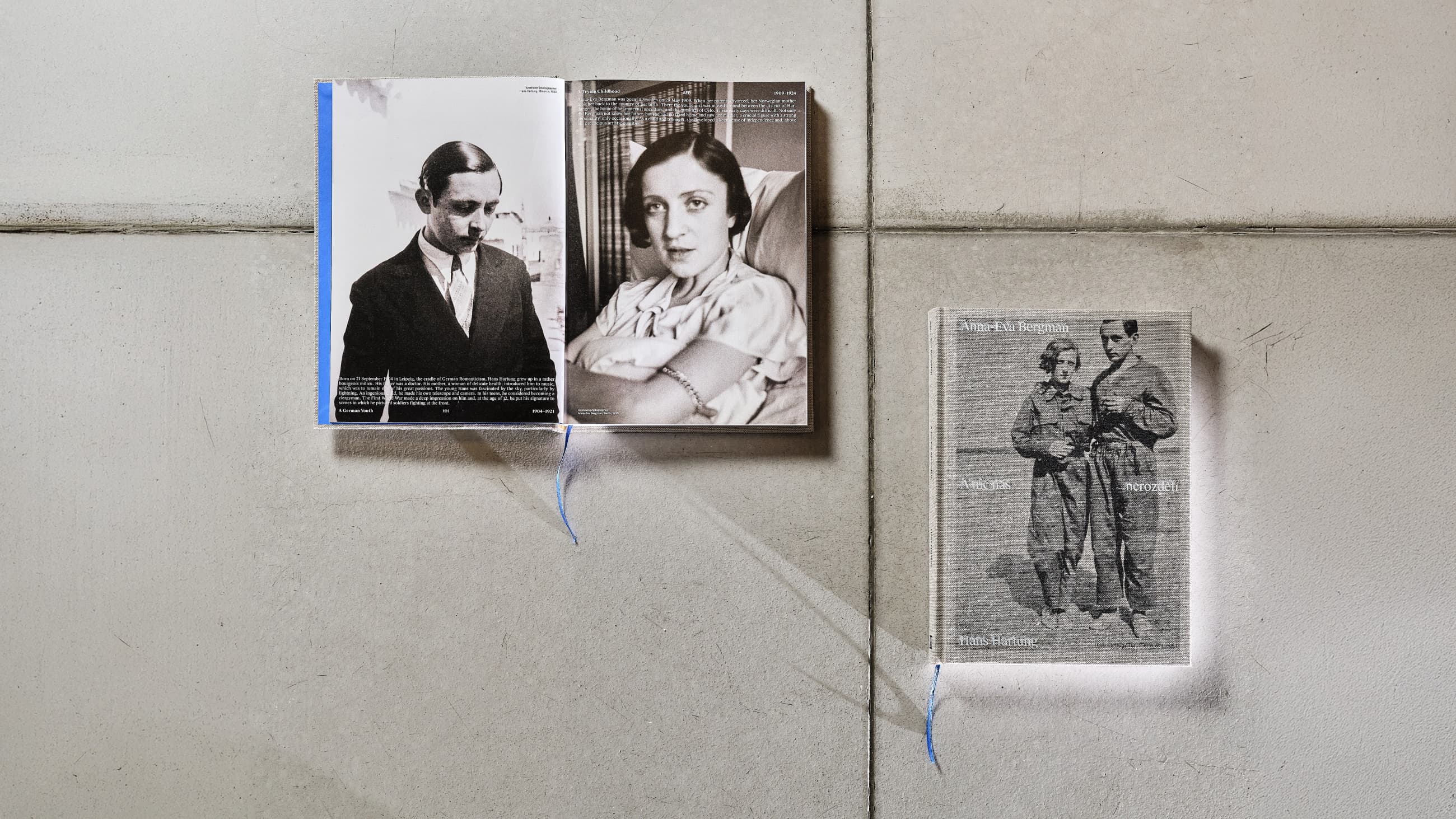 ANNA-EVA BERGMAN & HANS HARTUNG: A NIC NÁS NEROZDĚLÍ