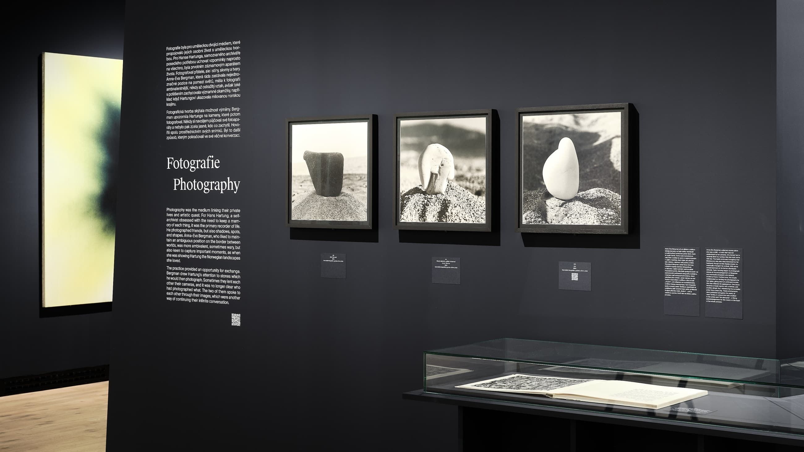 PAW: Komentovka výstavy Anna-Eva Bergman & Hans Hartung: A nic nás nerozděl