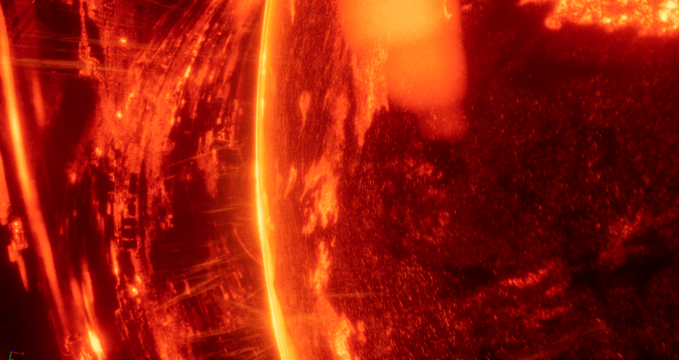 Alice Bucknell se školou